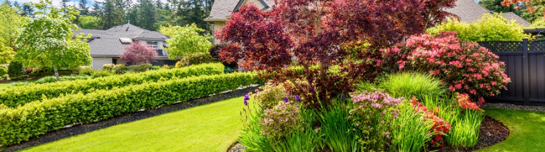 Les conseils jardin - Création d'espaces verts - Daniel Moquet Jardins