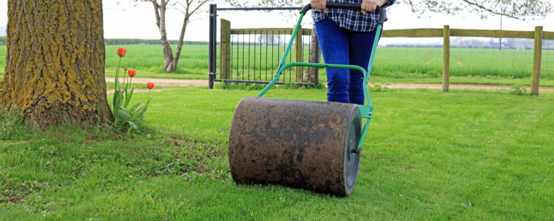 Nos astuces de pro pour une pelouse parfaite toute l’année