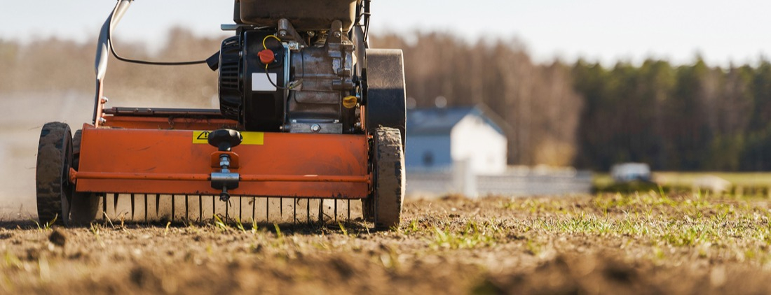 Les conseils jardin - Tonte, scarification et entretien de la pelouse ...