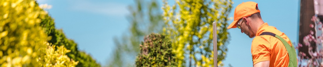 Les conseils jardin - Les différentes formes de tailles de haie ...