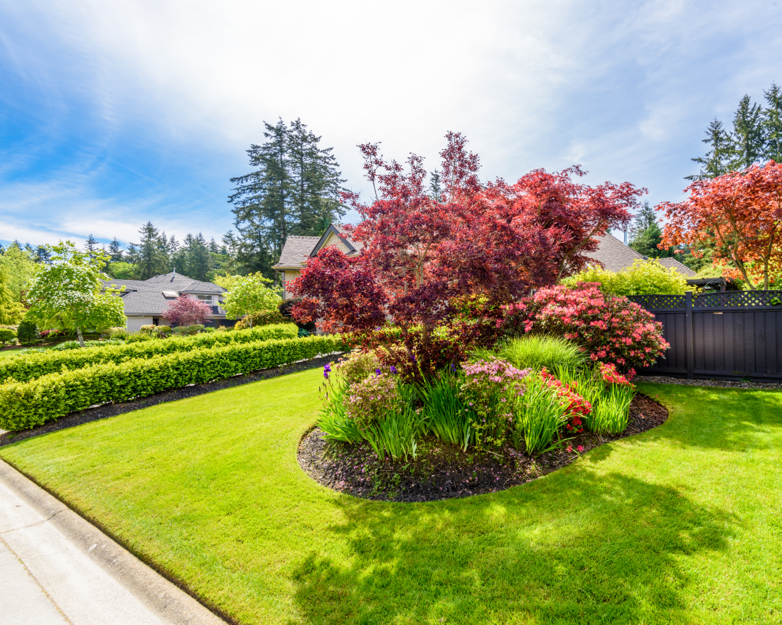 Les conseils jardin - Une préparation experte du jardin - Daniel Moquet ...